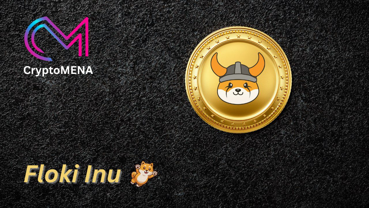 عملة FLOKI الرقمية مشروعها و مستقبلها » Crypto MENA